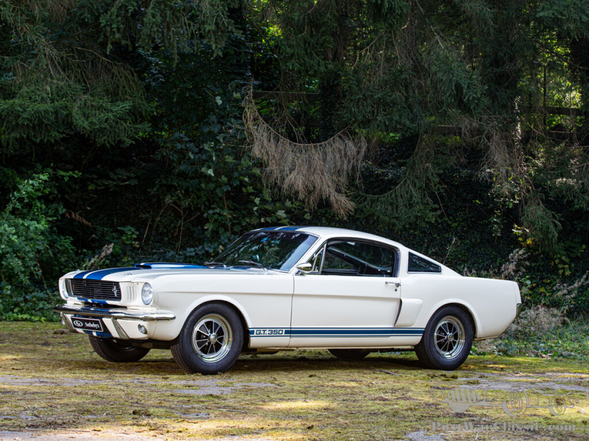 Car Shelby GT350 1966 for sale - PostWarClassic